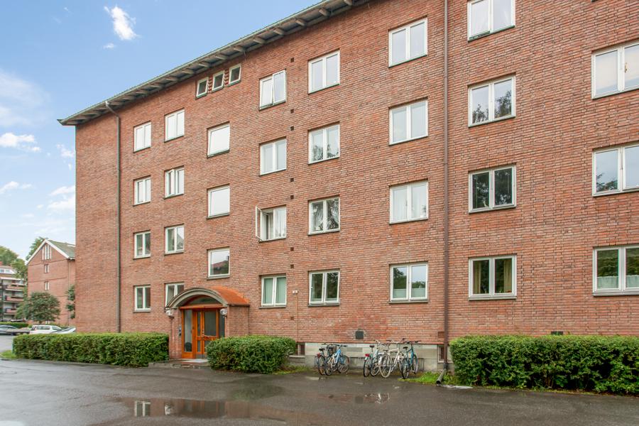 Hoff terrasse 14 leilighet på 56 m² - bolig.ai