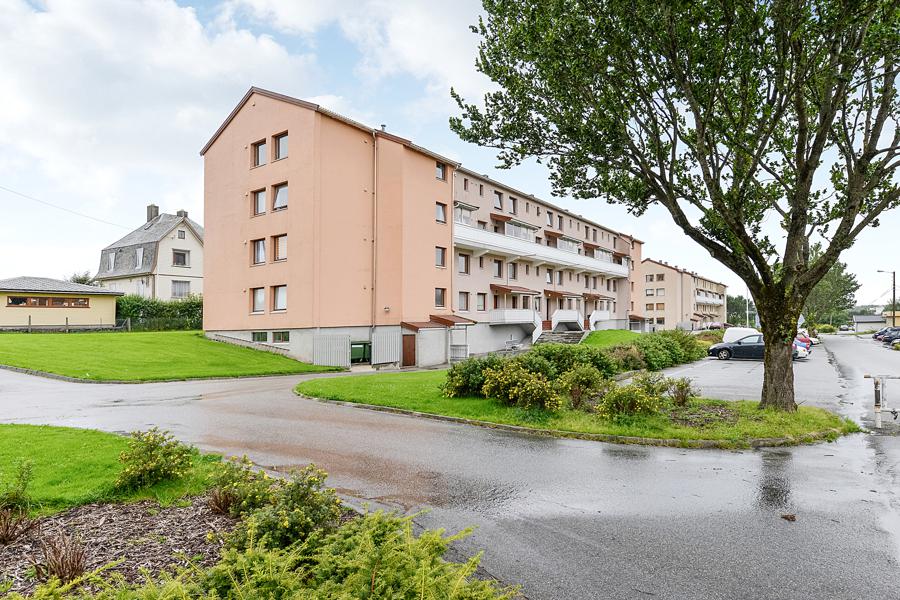 Valhallgata 3 leilighet på 40 m² fra 1954 - bolig.ai